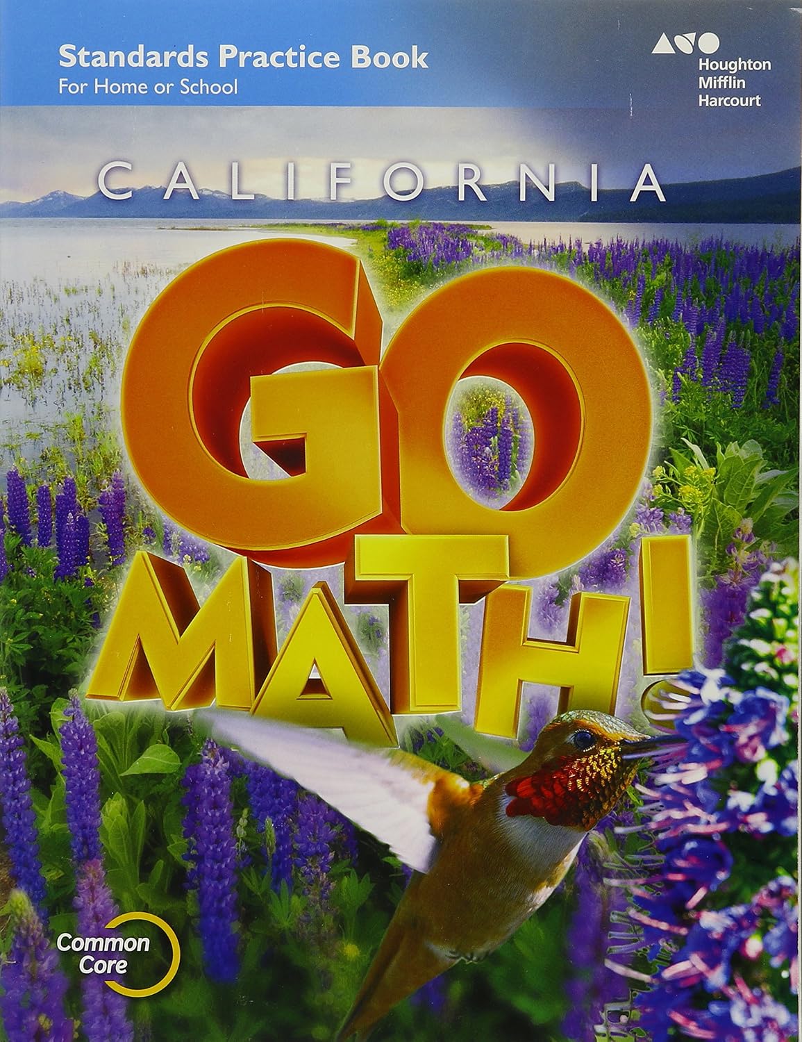 Practice Workbook Grade 4 (Houghton Mifflin Harcourt Philippines | Ubuy